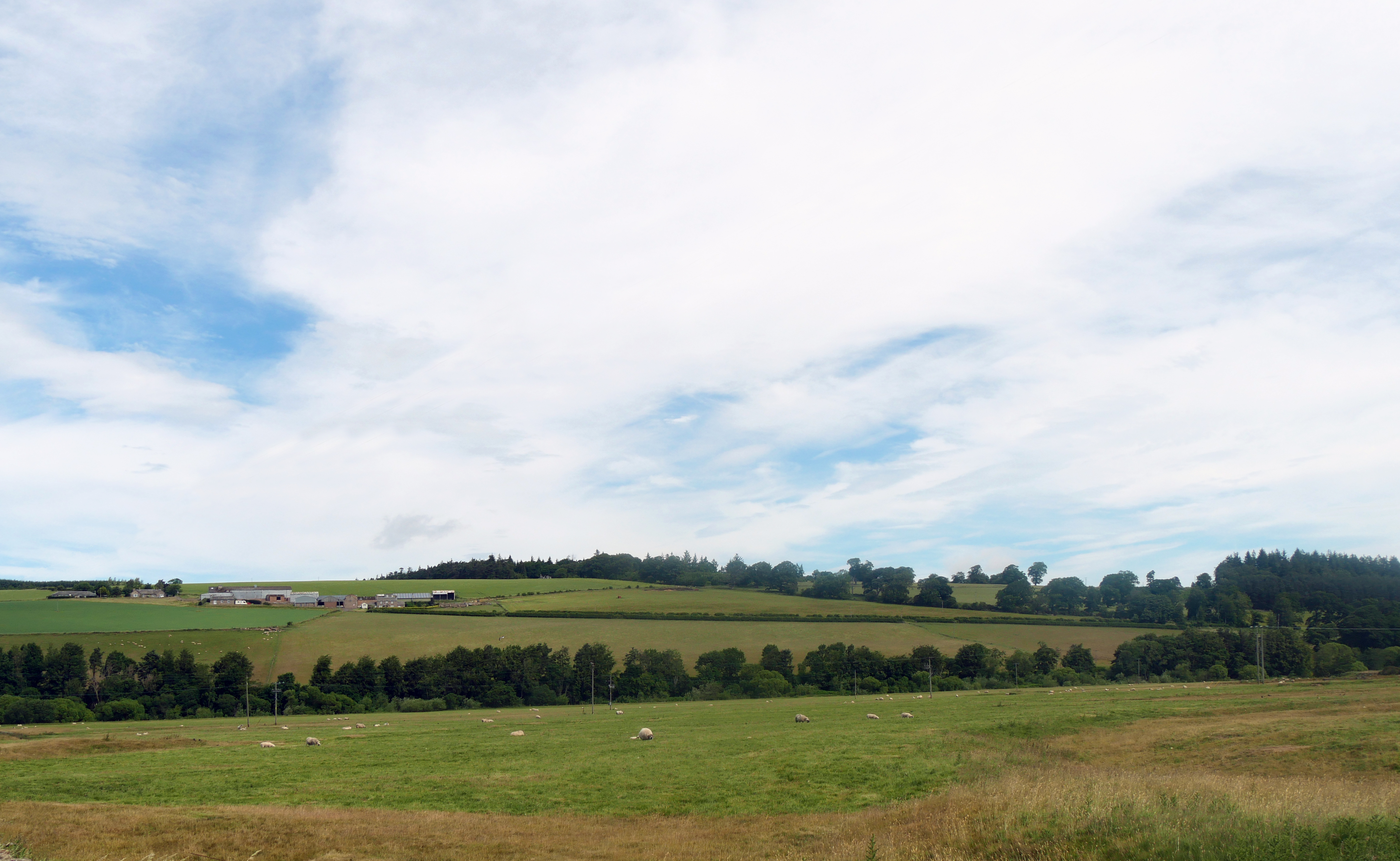 BHS Tour of the Dupplin Moor and Tibbermuir Battlefields – Breadalbane ...
