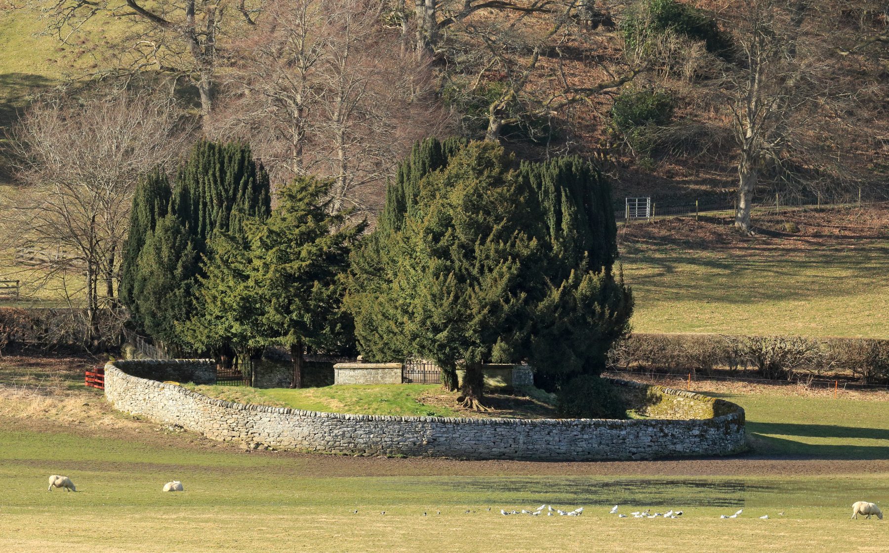 Killiechassie Burial Ground – Breadalbane Heritage Society